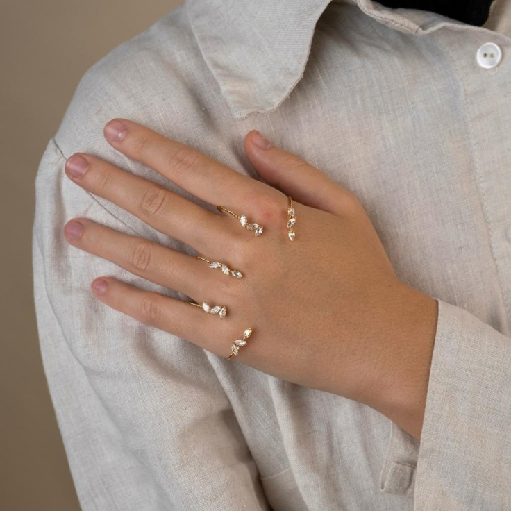 Celestial Arc Rings